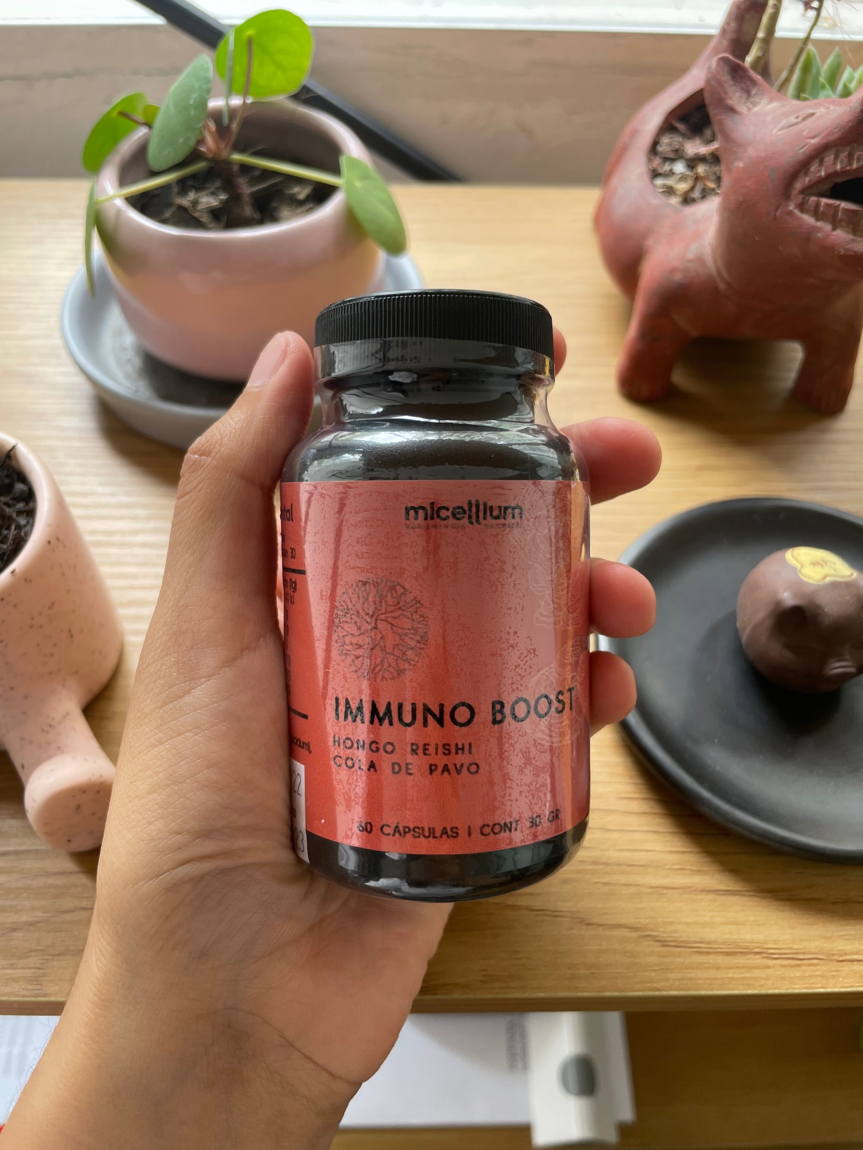 IMMUNO BOOST (REISHI & COLA DE PAVO) MICELLIUM – nucic.com.mx